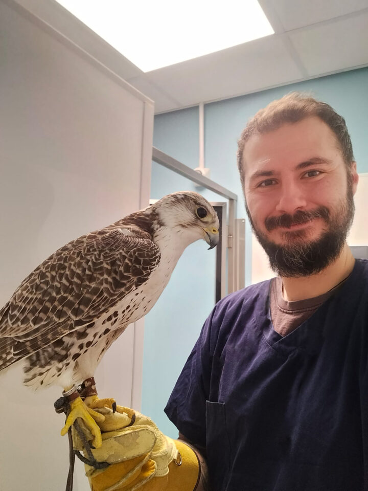 Specialist exotic vet practice to host Raptor CPD session led by Adam ...