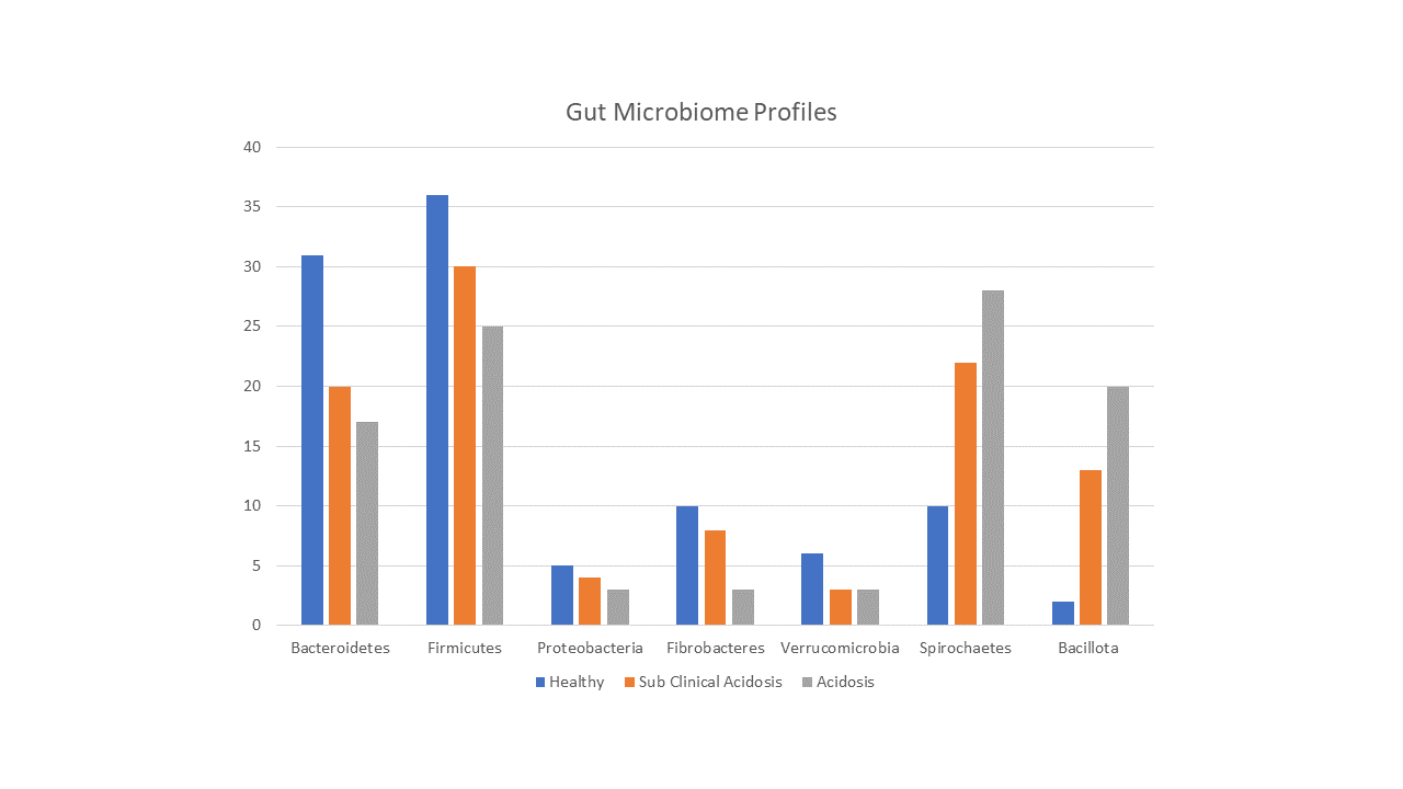 Acidosis laminitis – the gut microbiome - Veterinary Practice