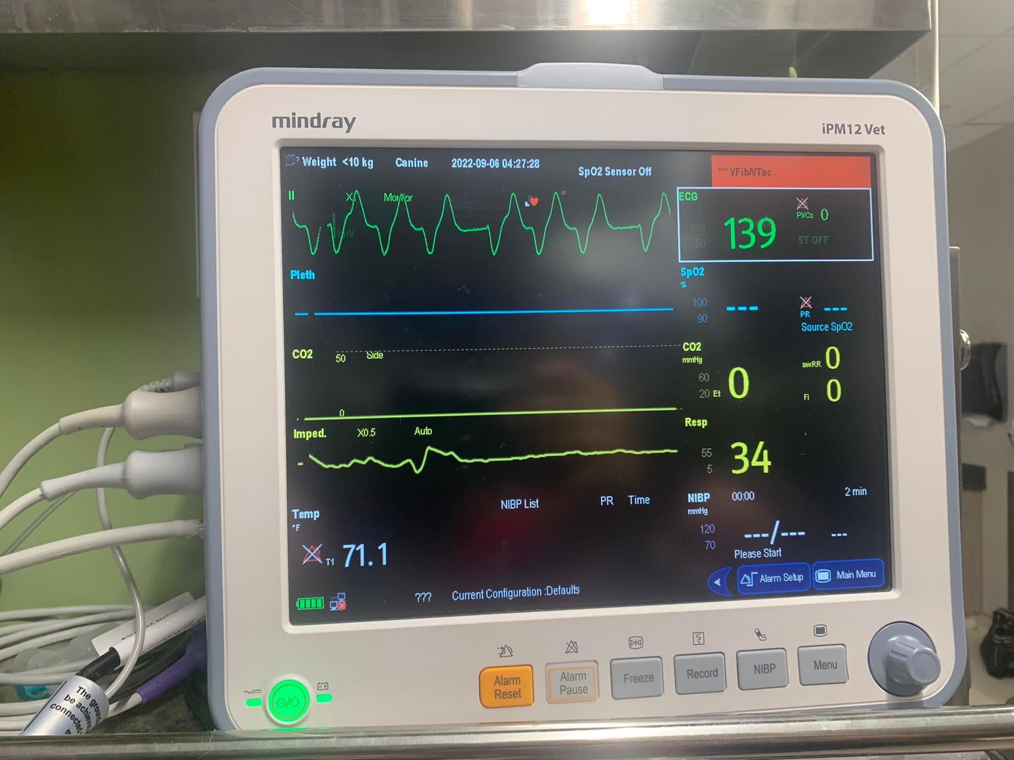 Diabetic ketoacidosis in emergency and critical care - Veterinary Practice