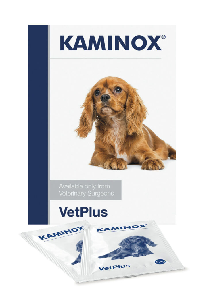 Vetplus launches pioneering nutraceutical sachets to support potassium ...