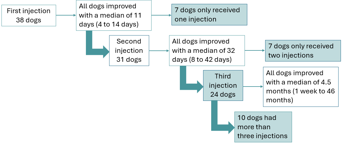 Epidural injection of methylprednisolone acetate in dogs: an update on ...