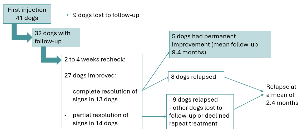 Epidural injection of methylprednisolone acetate in dogs: an update on ...